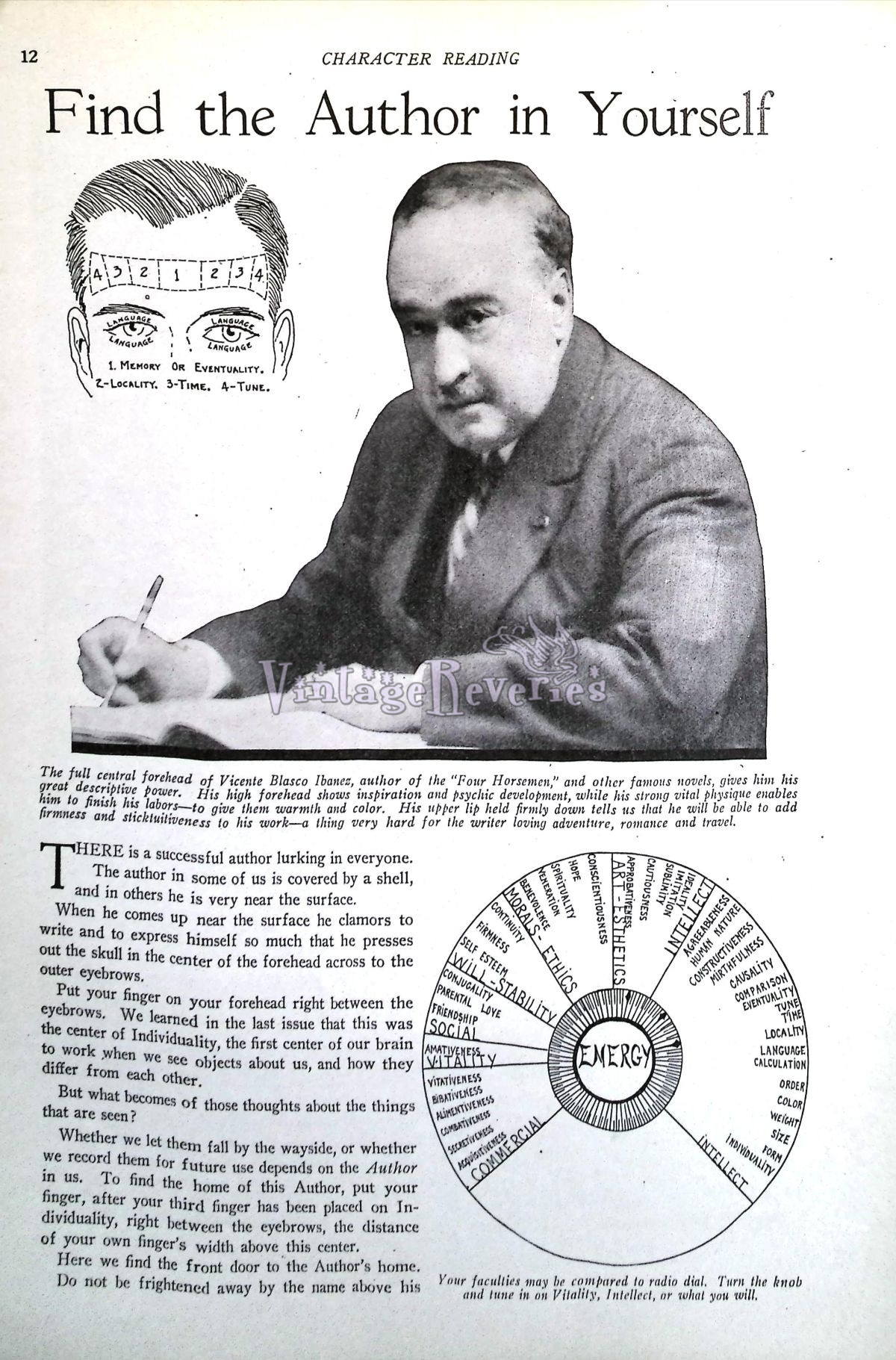 Do You Have the "Author's Forehead"? A Phrenology Check for | 1924-1925 ...